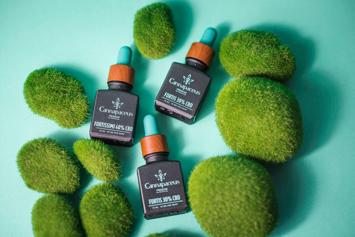 CBD produktai kurie gaminami iš natūralių pluoštinių kanapių – Cannapaceus